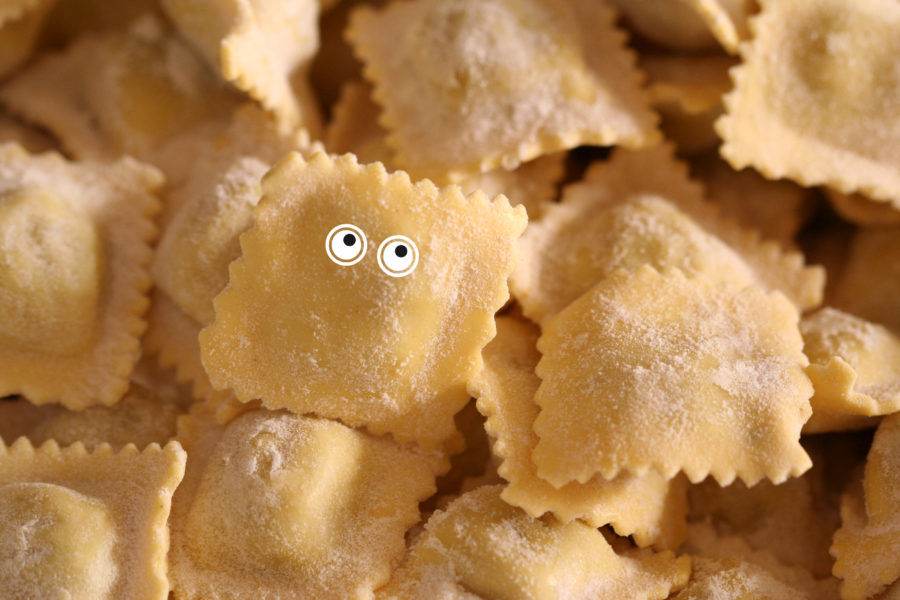 This Little Creature Looks Exactly Like A Piece Of Ravioli This Little Creature Looks Exactly Like A Piece Of Ravioli