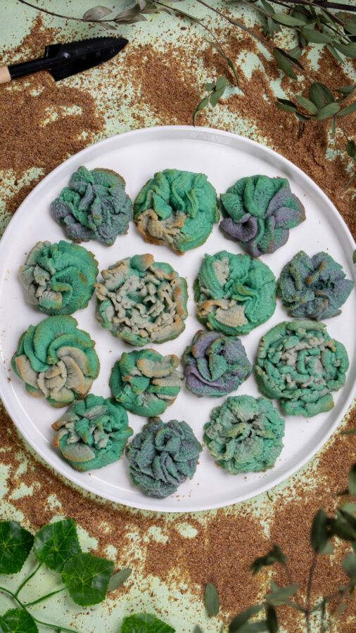 Piped Cookies - So Yummy - Video Recipes, Easy Dinner Ideas & Healthy ...