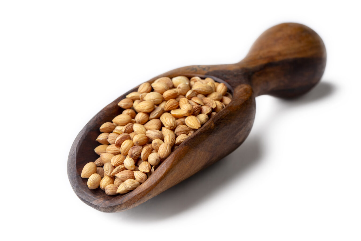 20 Most Expensive Spices in the World