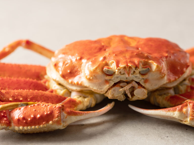 Snow Crab vs King Crab: 20 Differences