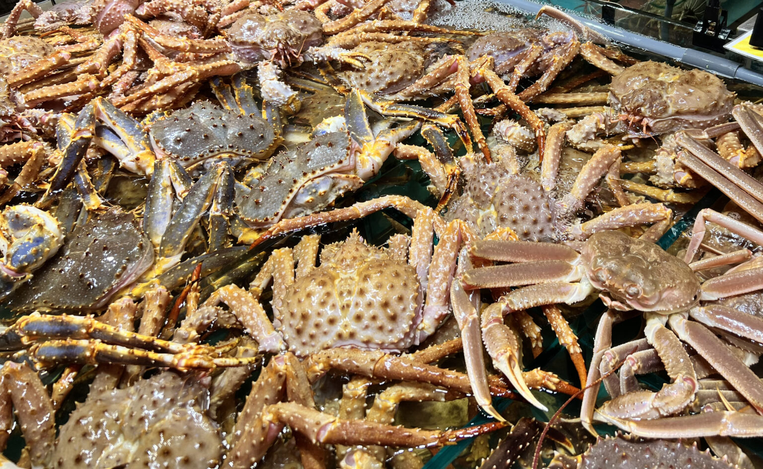 Snow Crab vs King Crab: 20 Differences