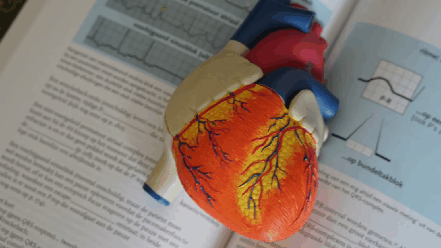 New Research Reveals Link Between Daily Melatonin Use and Heart Failure ...