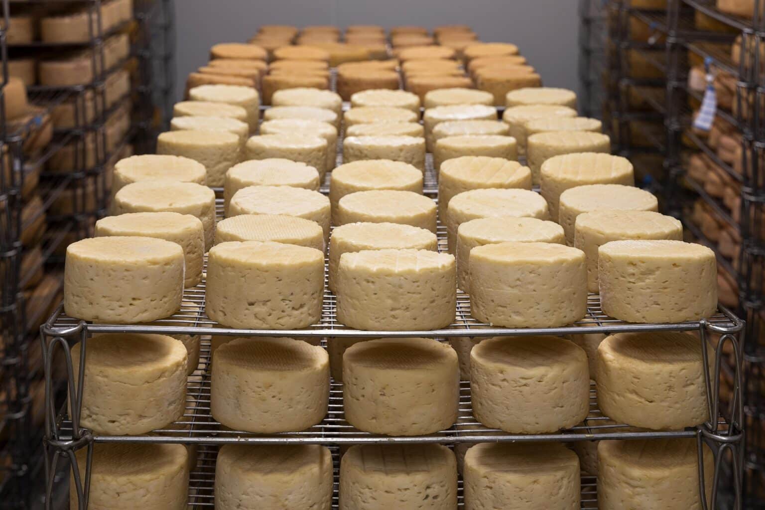 The Roman Emperor Said to Have Died from a Cheese Overdose - So Yummy ...