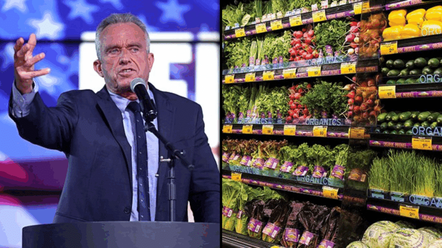Here's What Health Experts Have to Say About RFK Jr.'s New Food Pyramid ...