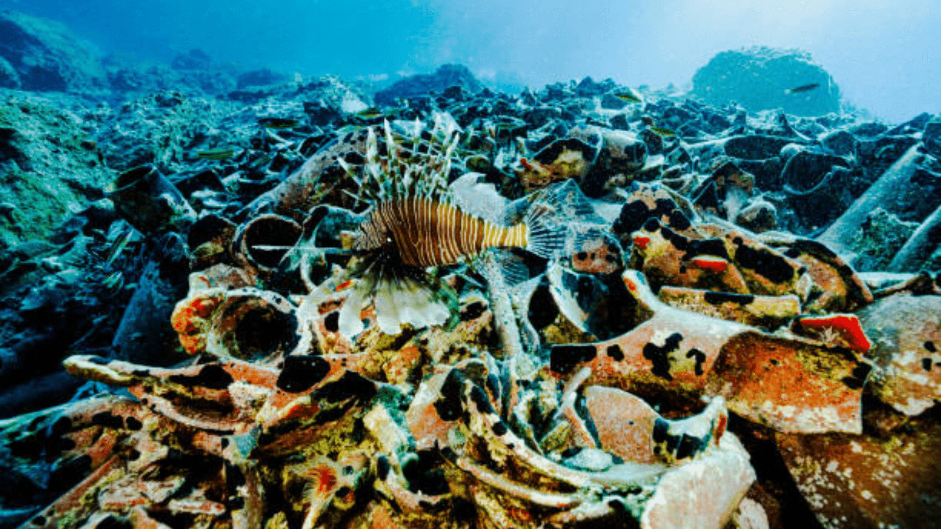 Invasive Creatures Are Swarming the U.S., and Experts Say the Fix Is to ...