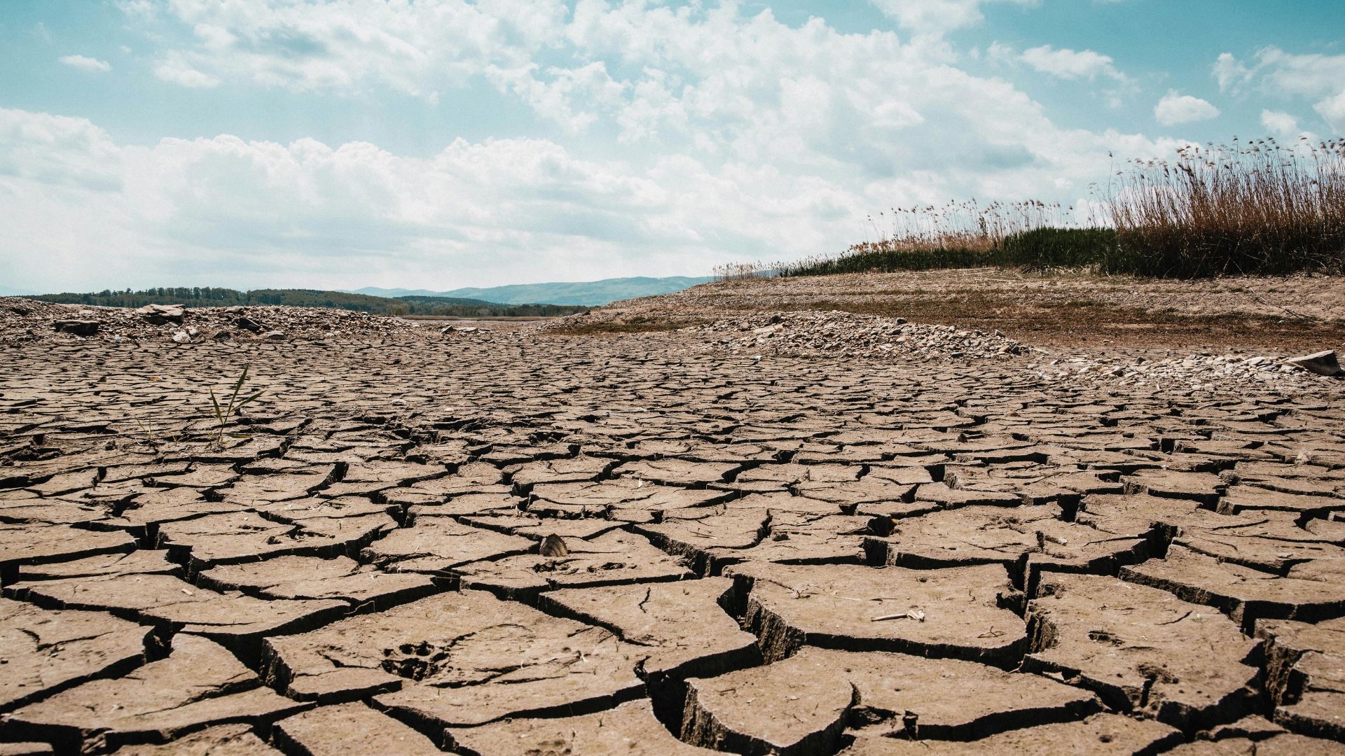 UN Warns ‘Water Bankruptcy’ Threatens Food Systems Worldwide, Fueling ...